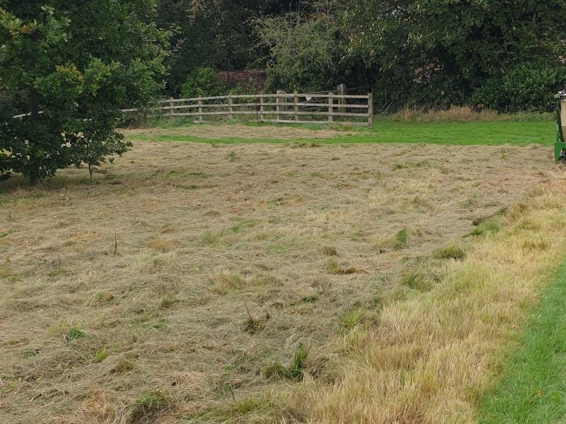 What a wildflower meadow looks like | North Lanarkshire Council